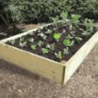 Blog – Documenting the first year of my retirement!